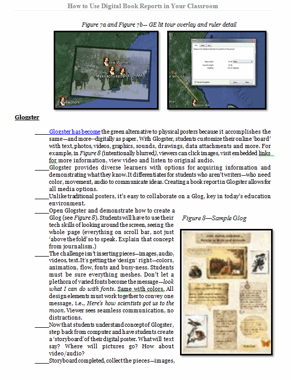 Book Report Information